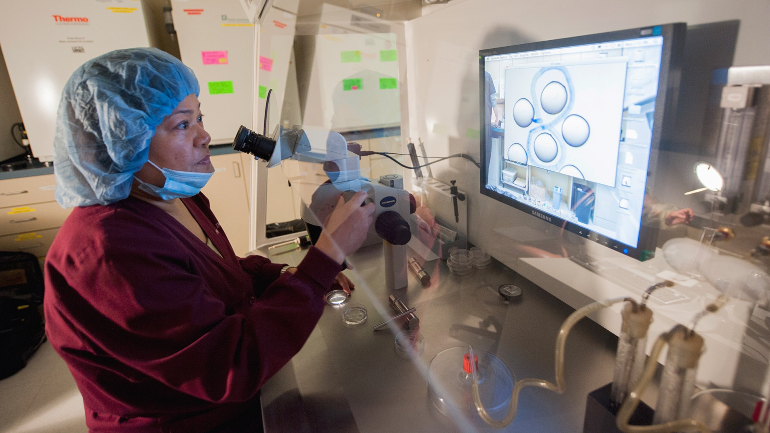 Tour Our Fertility Centers | New England Fertility in Connecticut